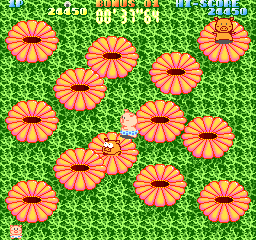 Arcade: Butasan (Jap)