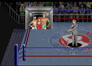 Arcade: Ring Rage (Jap)