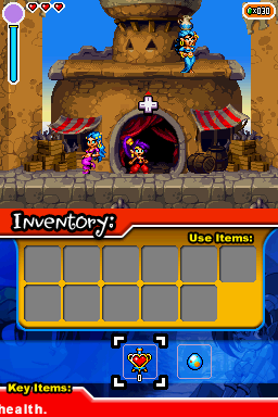 Nintendo DSi: Shantae - Risky's Revenge