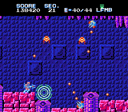 NES: Section Z