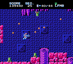 NES: Section Z
