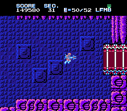 NES: Section Z