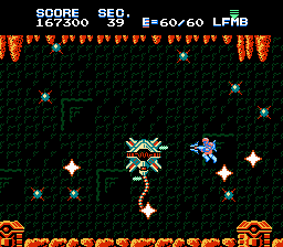 NES: Section Z