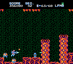 NES: Section Z