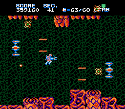 NES: Section Z