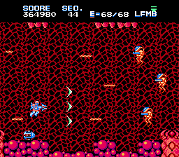 NES: Section Z