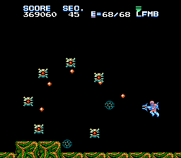 NES: Section Z