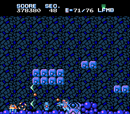 NES: Section Z