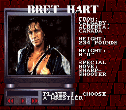SNES: WWF Raw